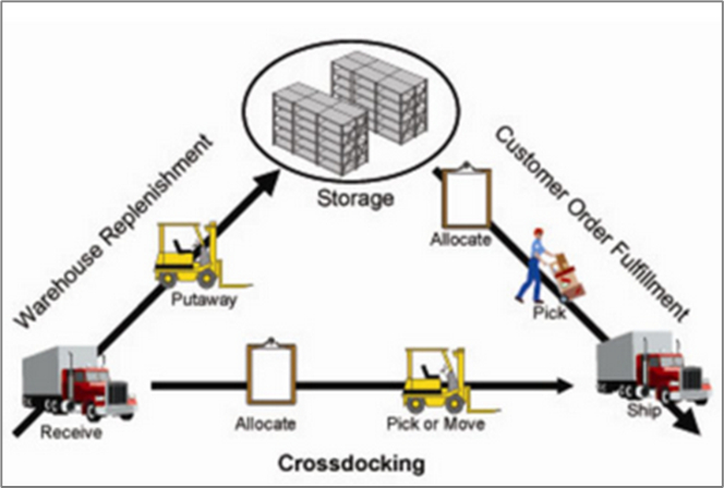 Il network distributivo di un’azienda che vende on line - Logistica Efficiente